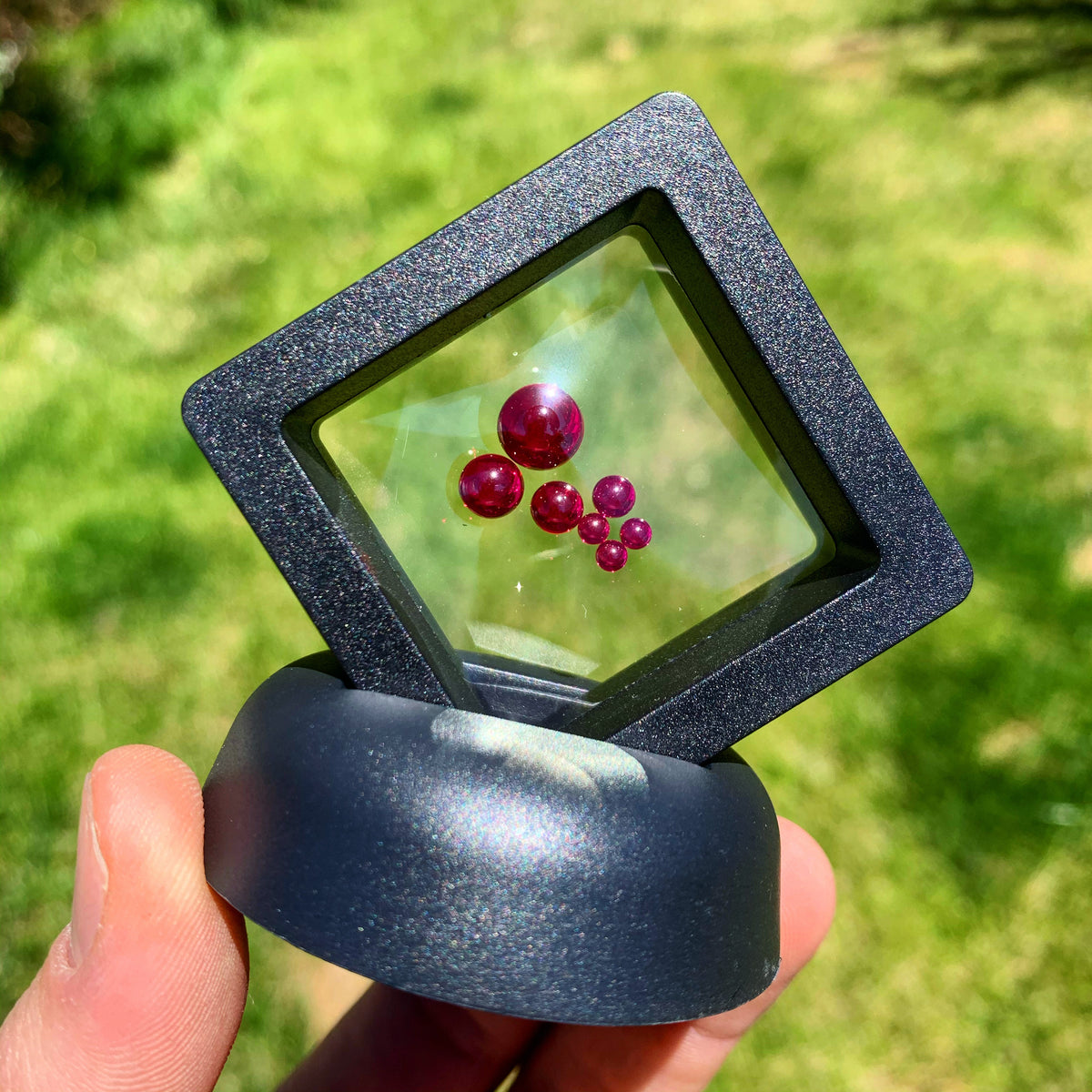 All Size Ruby Terp Pearl Variety Pack — RubyPearlCo